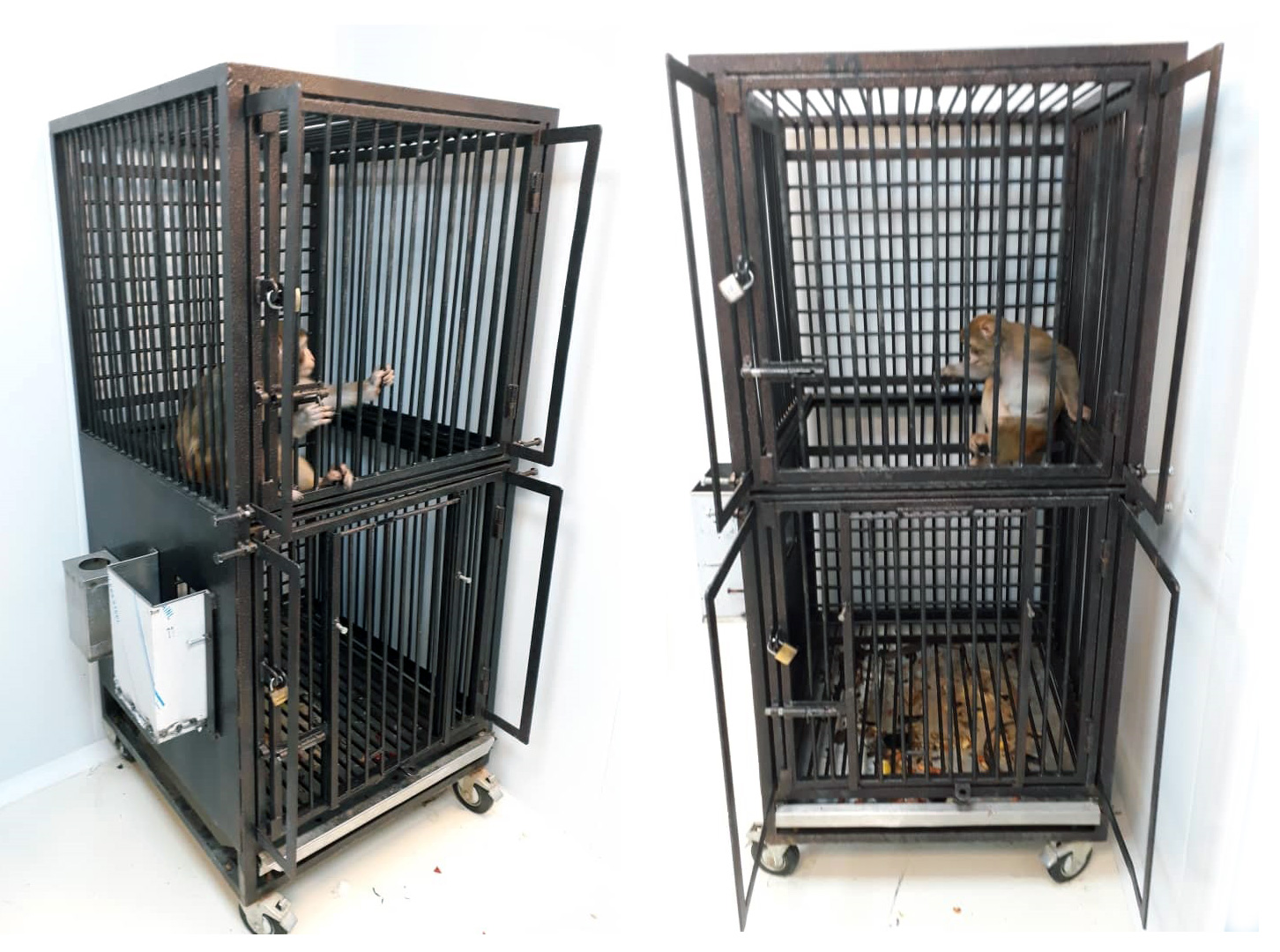 قفس مخصوص نگهداری میمون - شرکت صنایع رازی راد